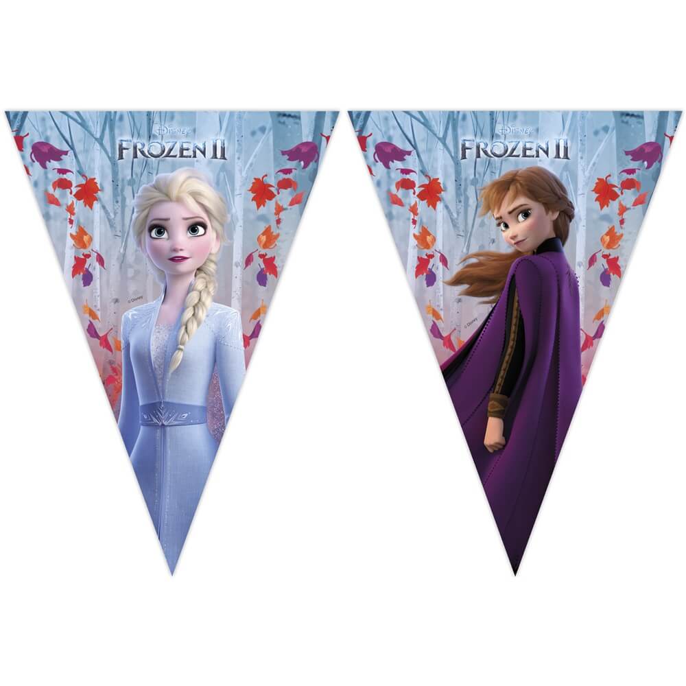Disney Frozen vimpel flag guirlande til din fødselsdag