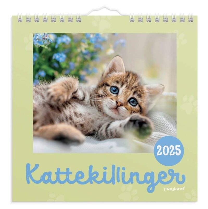 Mayland Vægkalender mini Kattekillinger: Søde Billeder for 2025